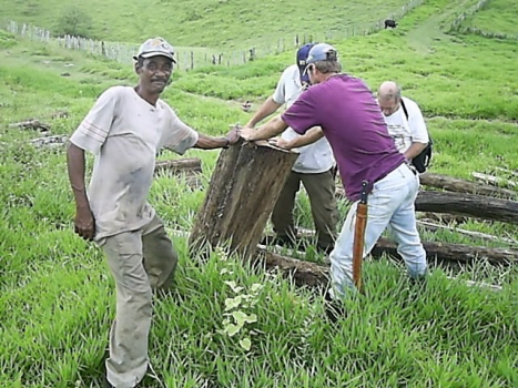 Pernambuco Wood